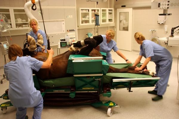 Surgery tables - Haico